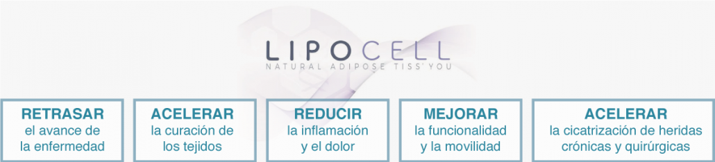 lipocell | Dr Alberto Marqués